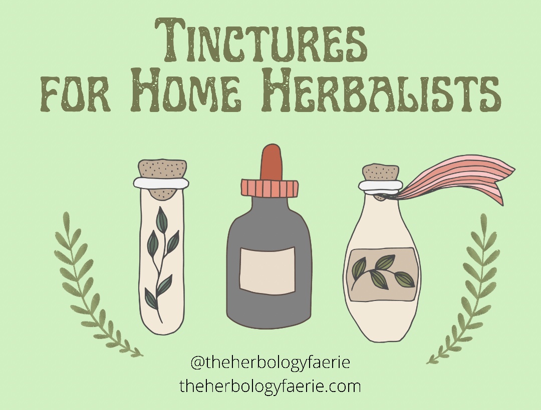 Tinctures for Home Herbalists – The Herbology Faerie