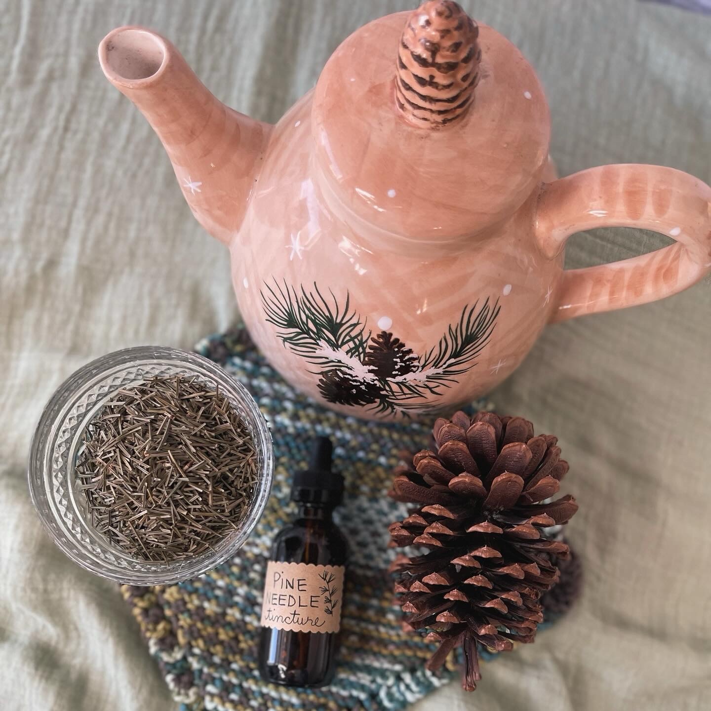 Pine Needle Tincture – The Herbology Faerie